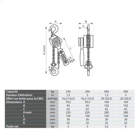 Palan manuel à levier économique | CMU 250 à 500 kg | Axess Industries